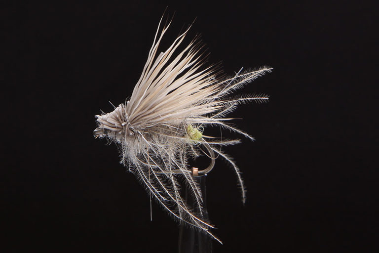 Yellow Ass Caddis Trockenfliegen Fliegen