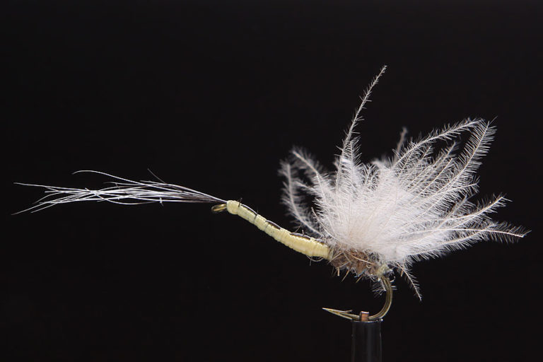 Mayfly R Spent light cahill Trockenfliegen Fliegen