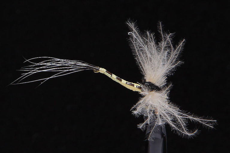 Mayfly R Spent light cahill Trockenfliegen Fliegen